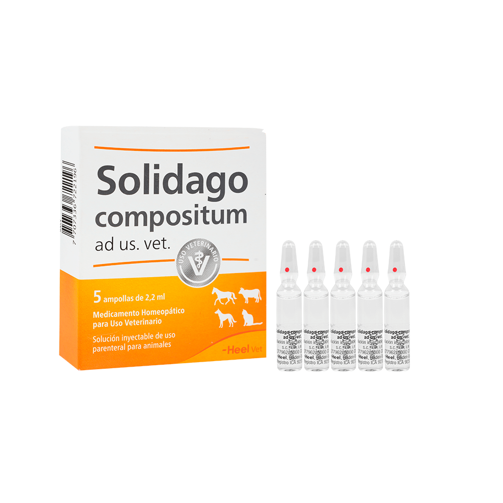 Solidago compositum ad us vet Inyectable - animalsveterinaria