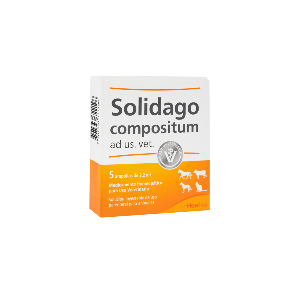 Solidago compositum ad us vet Inyectable - animalsveterinaria