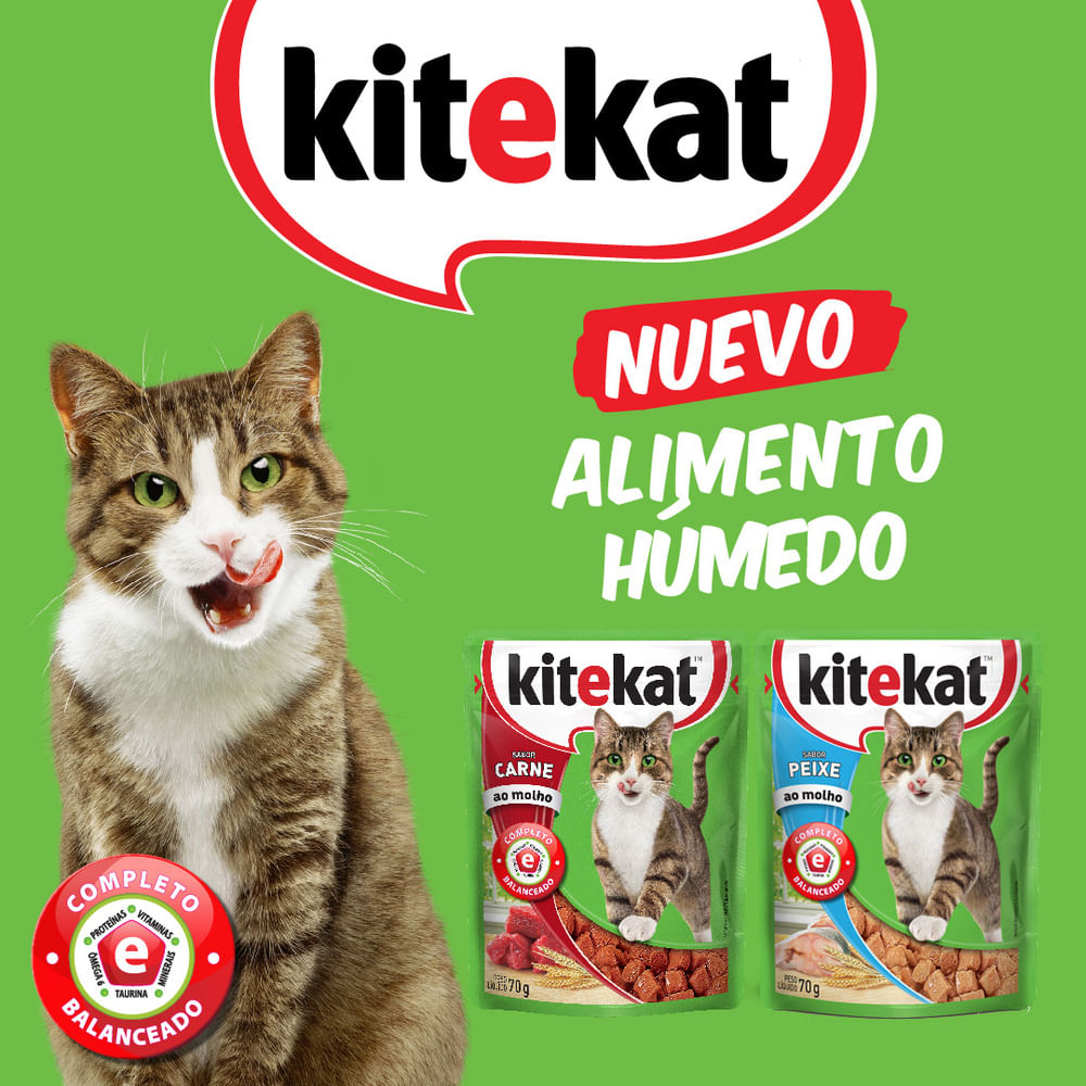 KITEKAT POUCH ADULTO PESCADO X 70 GR - animalsveterinaria