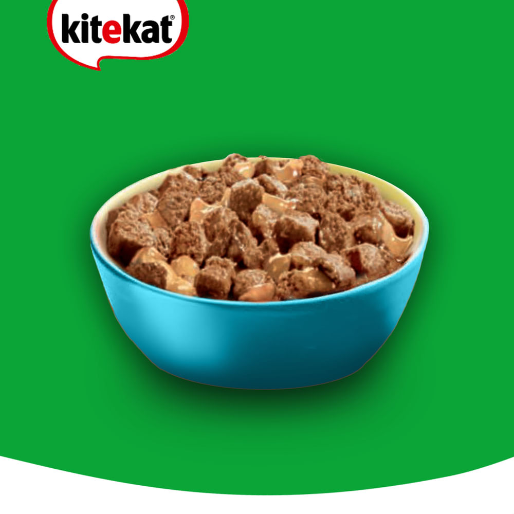 KITEKAT POUCH ADULTO PESCADO X 70 GR - animalsveterinaria