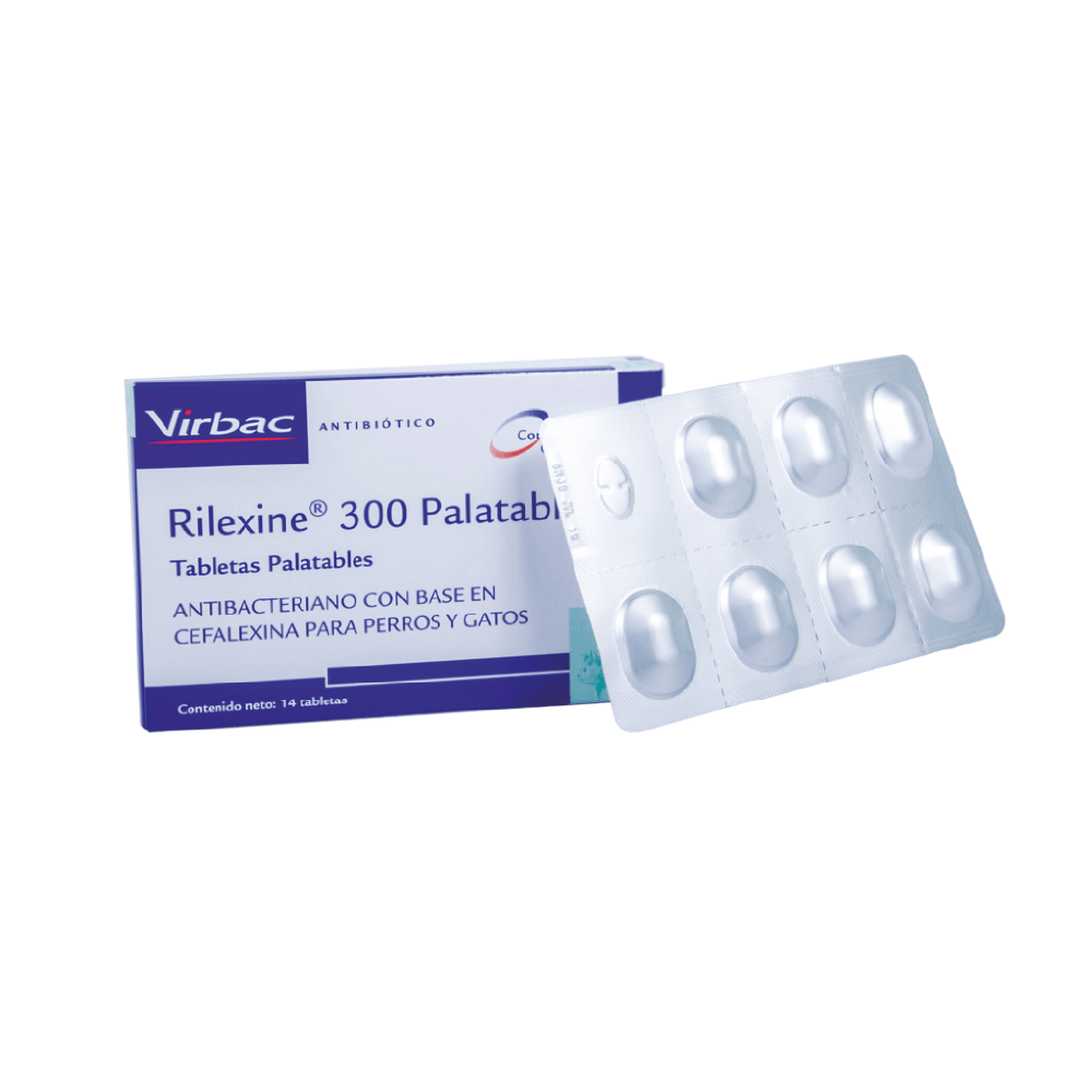 RILEXINE 300 2 BL (CEFALEXINA) - animalsveterinaria